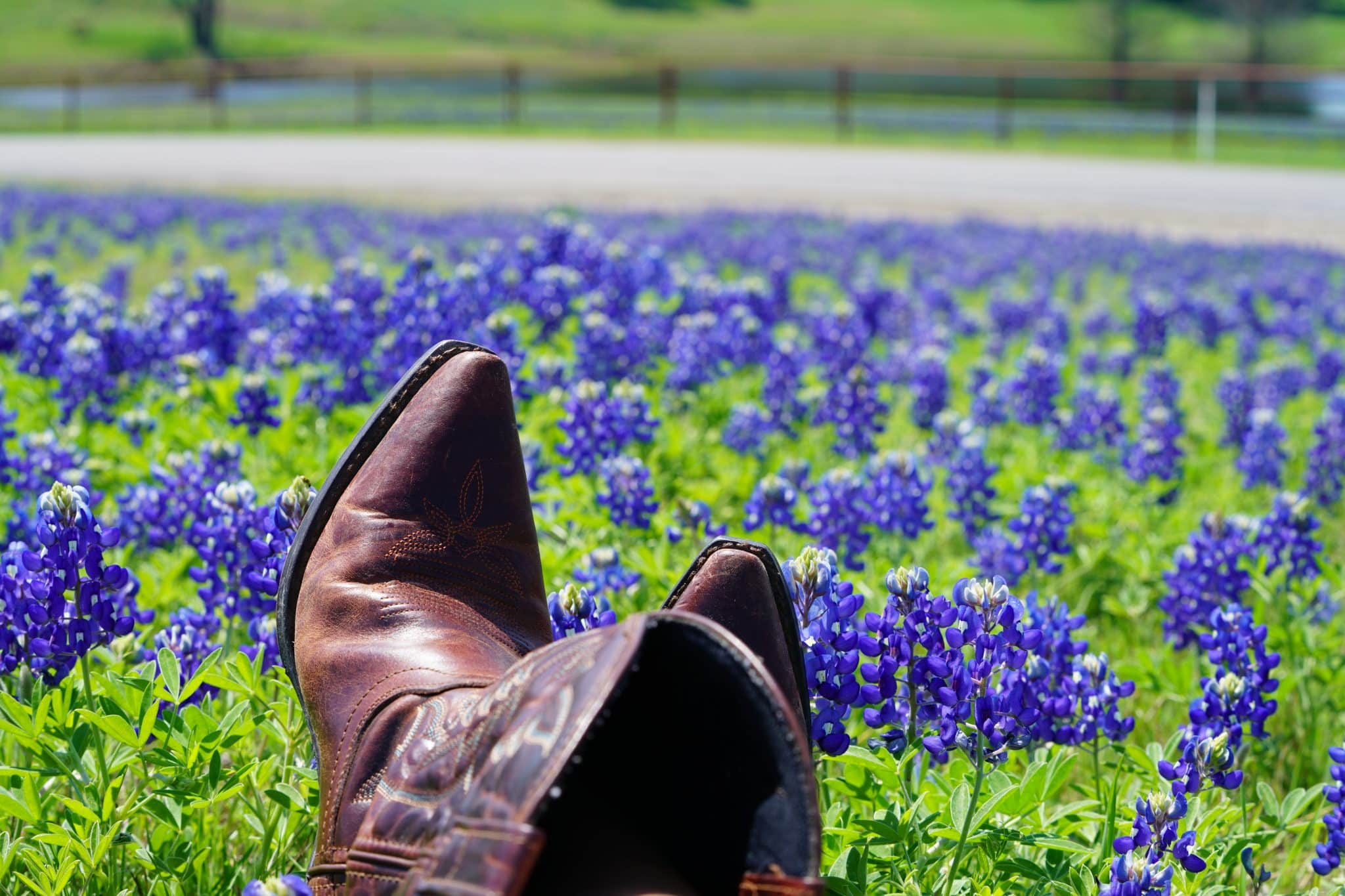 GD Practice in West Austin, Newer Buildout, State of the Art Equipment & Technology, Large FFS ...